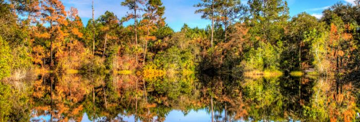 FALL ACTIVITIES WHEN VISITING ORLANDO